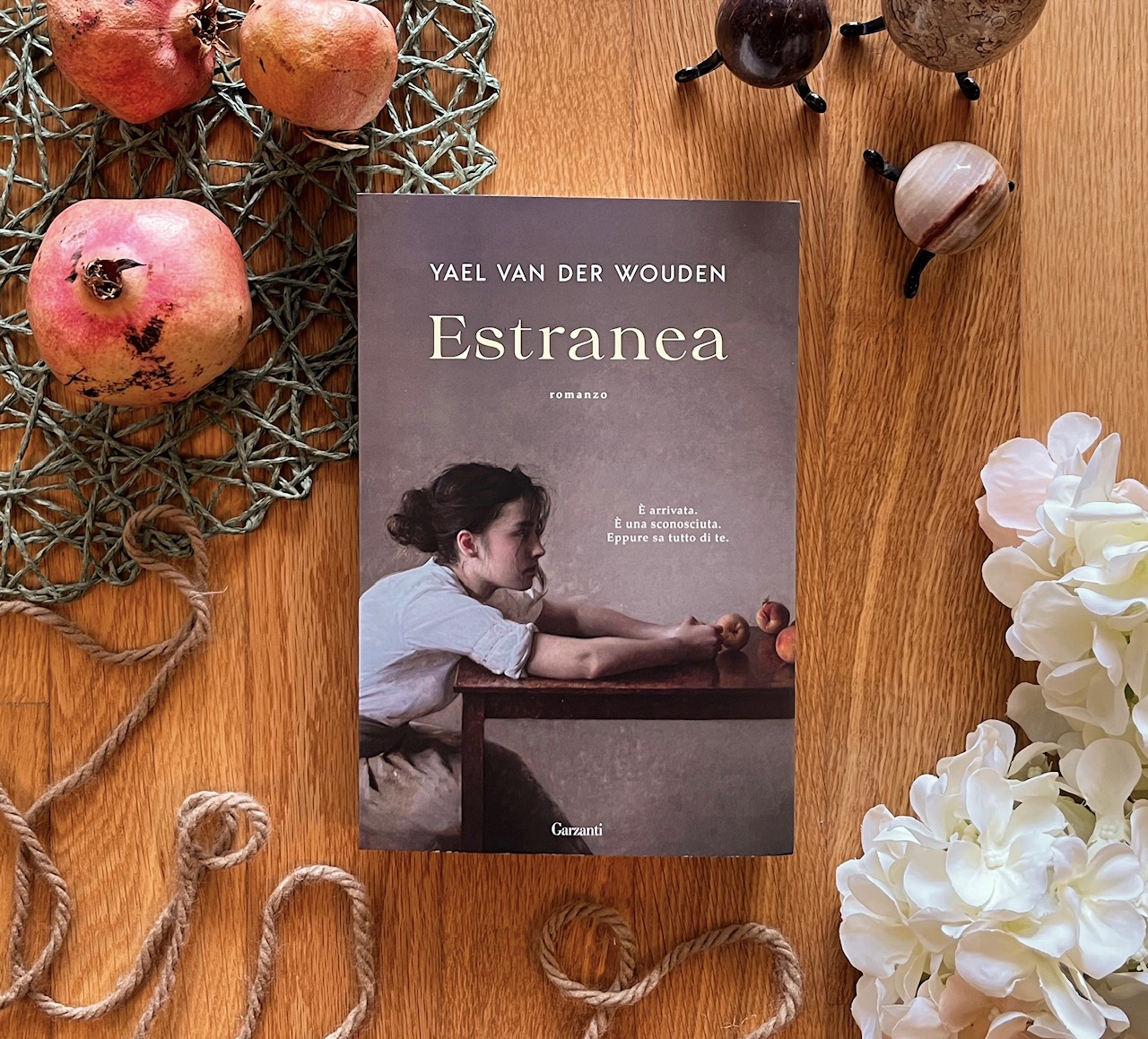 Libro "Estranea" Yael van der Wouden - Recensione